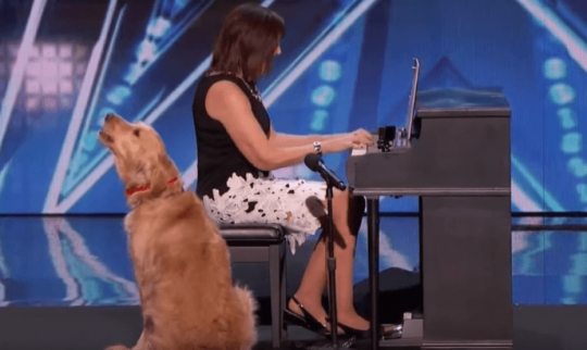 'America's Got Talent' Auditions Week 6 Recap