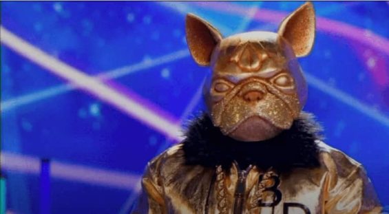 'The Masked Singer' Wildcard Pulls Off The Most UNEXPECTED Twist Ever!