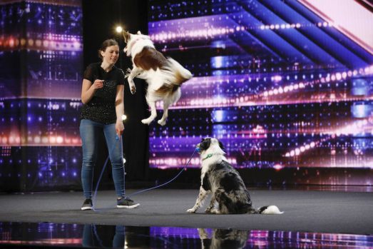 The Cutest Dog Auditions in 'America's Got Talent' History