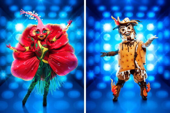 'The Masked Singer' Reveals Two More Season 10 Costumes: Hibiscus, S’more