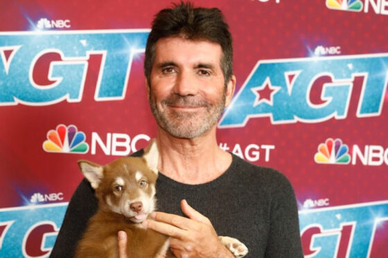 Simon Cowell Shares Photos of His Family's Adorable New Puppy